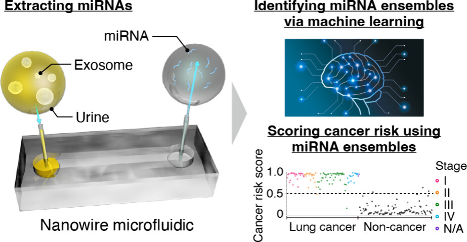 TOP | Quantum Regenerative and Biomedical Engineering Team